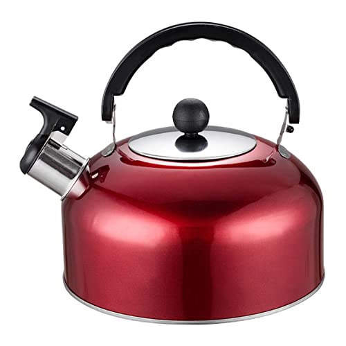 Buy Stainless Steel Sound Kettle Hemisphere Flat Bottom Kettle ...