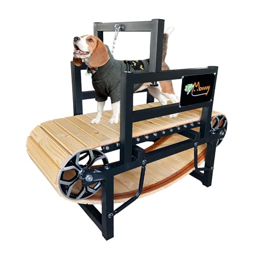 Amazon Best Sellers: Best Dog Treadmills