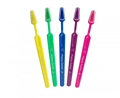 Amazon.com : Tess Oral Health Happy Easter Adult Toothbrush - Festive ...