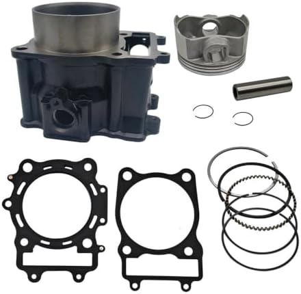 Amazon.com: Cylinder Piston Kit 103200 102 0000 196MS 1032000 LU065298 ...