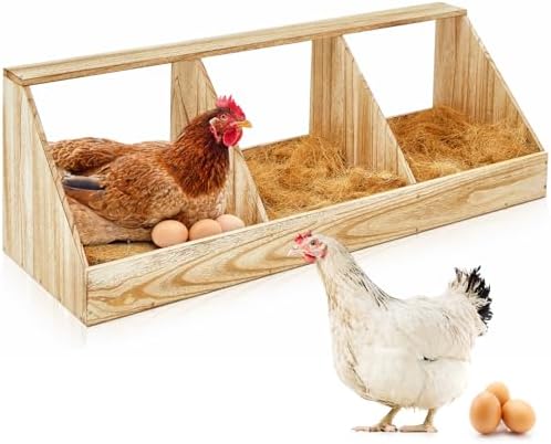 Amazon.com: Thyle 1 Sets Chicken Nesting Boxes, 3 Compartment Wood ...
