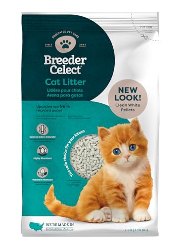 Paper Cat Litter – The 15 best products compared - Wild Explained