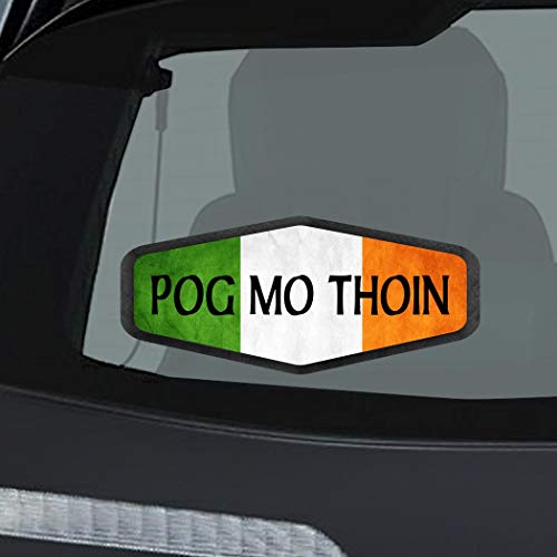 Cat Pog – Los 15 mejores productos comparados - Wild Explicado