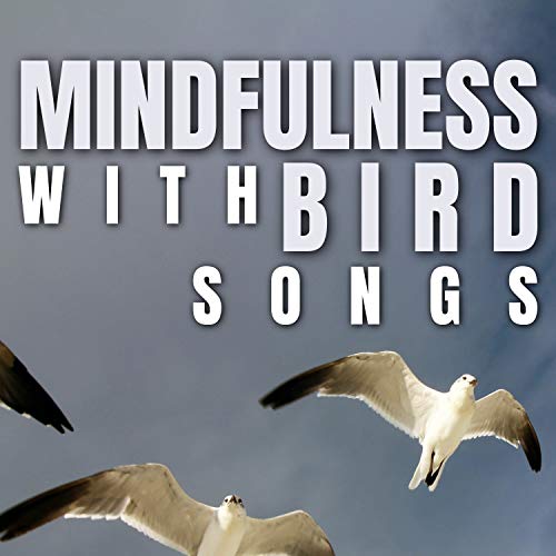 Mindfulness with Bird Songs de Bird Songs, Sleep Sounds of Nature ...