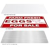 Amazon.com : Anobell Farm Fresh Eggs for Sale Sign 14" x 10" Farmers ...