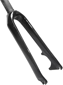 Amazon.com: HIMALO Carbon Rigid Fork 20" 451mm Foldable Bike Disc Brake ...