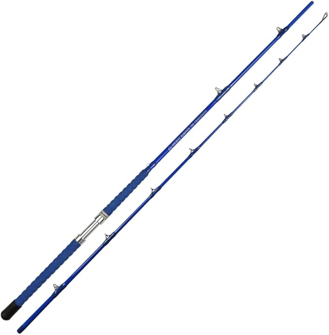 Amazon.com : ANCIENT MARINER Challenger Series Castfish Rod 10' Catfish ...