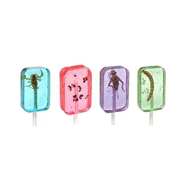 Insect Sucker Lollipop Bundle - Pack of 4 - Scorpion, Ants, Cricket ...