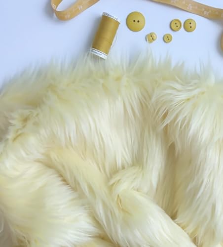 Why Is My Cat's Fur Turning Yellow? Unveiling The Surprising Reasons