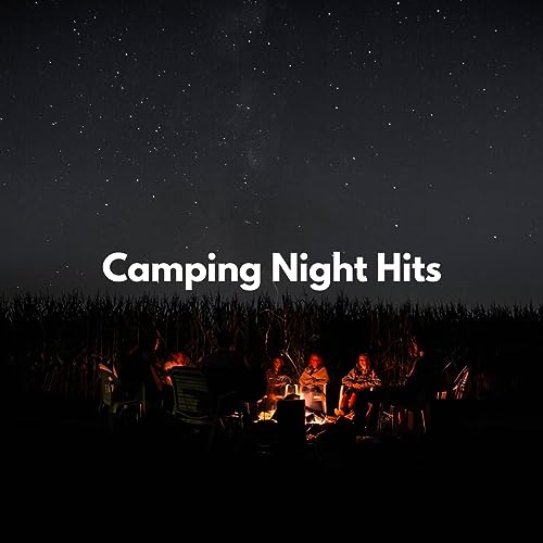 Free Bird song by Lynyrd Skynyrd from Camping Night Hits on Amazon Music