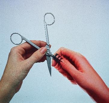 Accu-Edge Scissors (with replaceable blades) (): Amazon.com: Tools ...