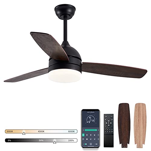 Top Picks 2026: Best Modern Smart Ceiling Fans Review