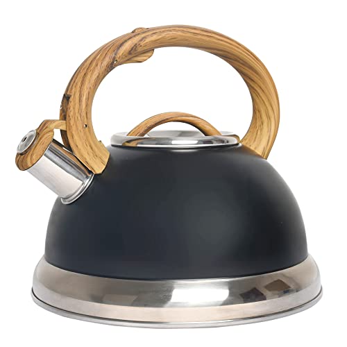 Top 10 Best Teapot For Stove Steel : Reviews & Buying Guide - Katynel