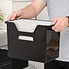 Amazon.com: IRIS USA Large Portable Desktop File Box with Open Lid, 4 ...