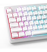 Amazon.com: HITIME x XVX Spider Web Keycaps 60 75 100 Percent - Shine ...