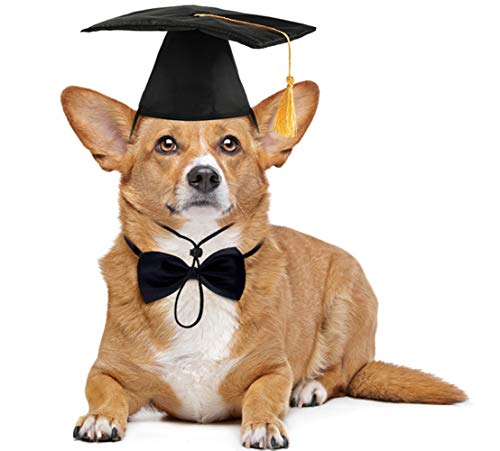 Dog Graduation Cap And Bowtie Collar Set,Pet Grad Costume