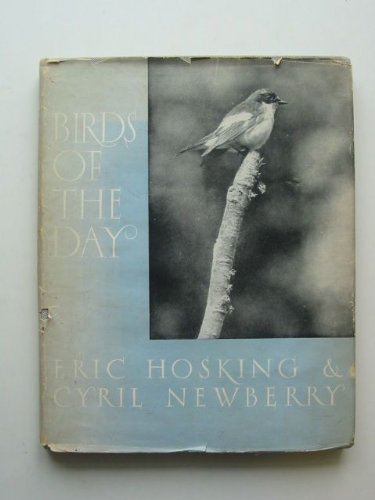 BIRDS OF THE DAY: Hosking, Eric J. & Cyril W Newberry.: Amazon.com: Books