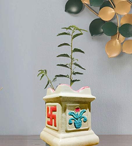 Niyara Small Tulsi Ceramic Pot small for Indoor, Outdoor,Home Office ...