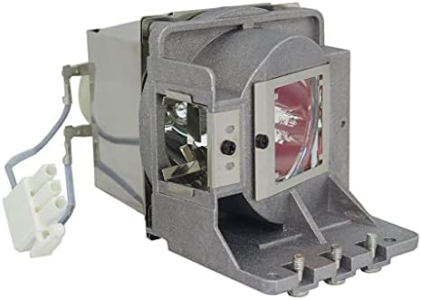 Amazon.com: ABITAN 5J.JEE05.001 Projector Lamp (Original OEM Bulb ...