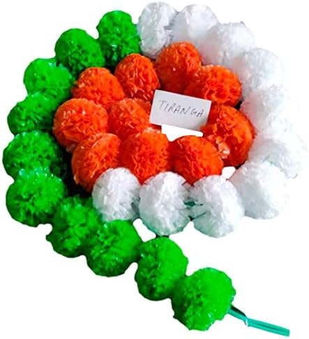 Party Propz Independence Day Decoration Items - Tricolour Gardland For ...