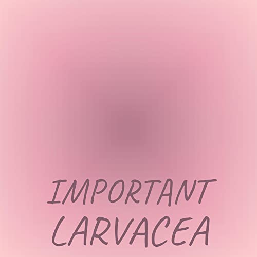 Amazon.com: Important Larvacea : VARIOUS ARTISTS: Digital Music