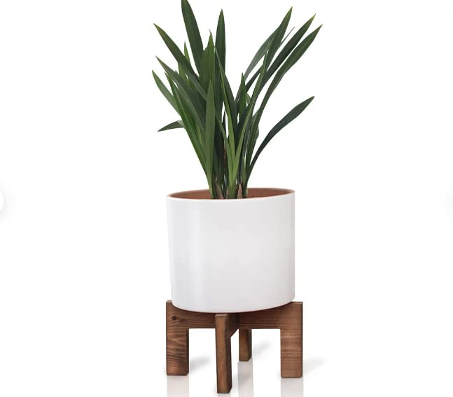 The Tijaarat Wooden handmade footed planter, Tall Solid Mango wood ...