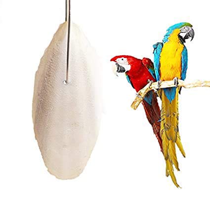 Sage Square Natural High Calcium Source Cuttlebone Fish for Birds ...