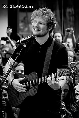SM_GALLER® Ed Sheeran Poster - Crowd Behind Music Artist Wall Sticker ...