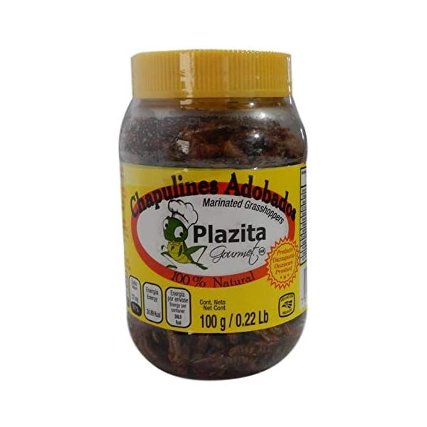 Chapulines (grasshoppers) - Gourmet edible insects from Oaxaca Mexico ...