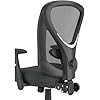 Amazon.com: Staples Carder Ergonomic Task Chair, Mesh, Ergonomic ...