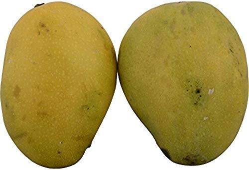 Fresh Mango, Badami, 1 kg ,Buying : Amazon.in: Grocery & Gourmet Foods