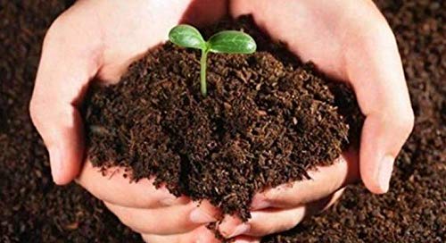 vermicompost khad for home garden and plants 1kg : Amazon.in: Garden ...