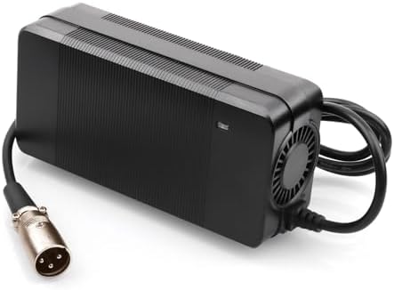 Amazon.com: 24V Charger Lead Acid Battery LiFePO4 Rechargeable ...