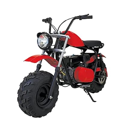 The 28 Best Mini Bikes For Adults of 2024 [Verified] - Cherry Picks