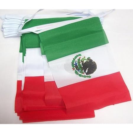 Amazon.com : AZ FLAG Mexico 6 Meters Bunting Flag 20 Flags 9'' x 6 ...