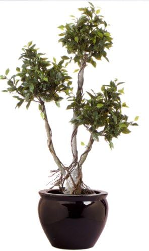 Amazon.com: 3ft FICUS TOPIARY 2PC.: Artificial Topiaries: Home & Kitchen