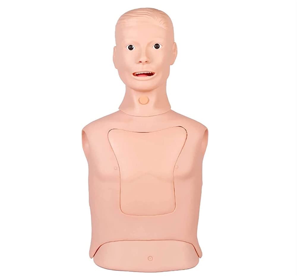 Buy XINDONG Medical Models Manikin Practice Model, Advanced Nasotric ...