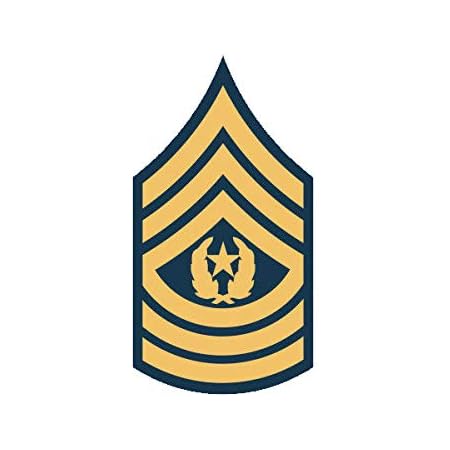 Amazon.com: EW Designs E-9 Command Sergeant Major Insignia Sticker ...