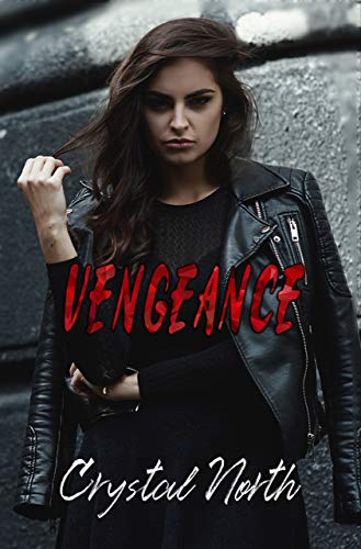 Vengeance: A Reverse Harem Revenge Romance (Vengeance Series Book 1 ...
