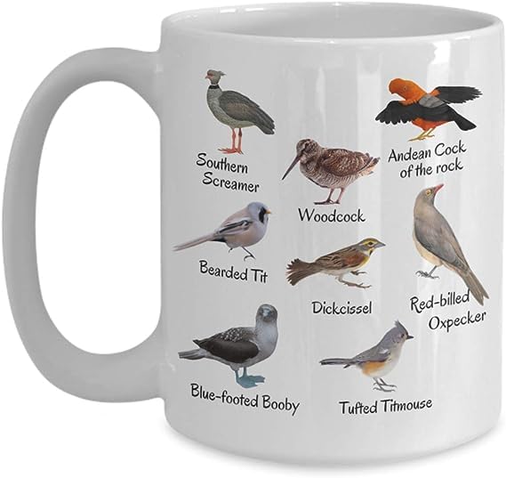 Amazon.com: Generic Fowl Language Bird mug, funny coffee tea ceramic ...