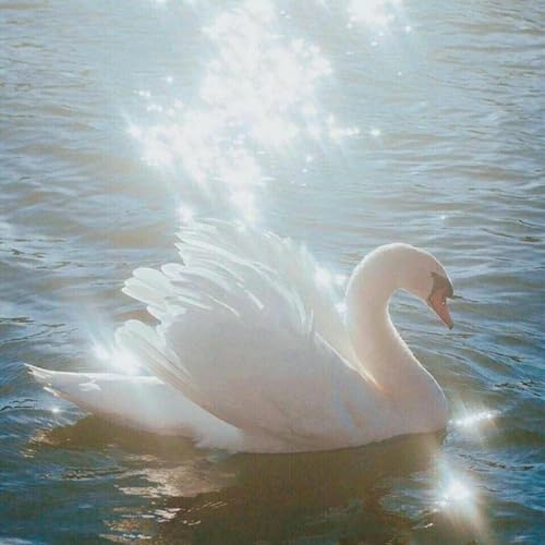 Écouter Chillin & Peace Vibe Type Beat "Heart to Be" par DeserveBeatZ ...