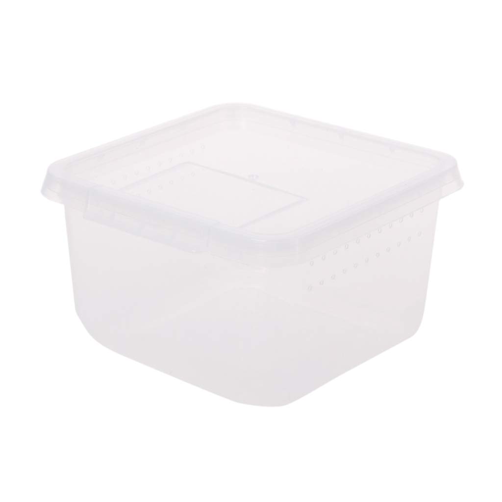 Buy Mya Clear Plastic Terrariums for Reptiles, Amphibian, Habitat ...