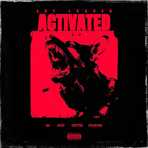 Amazon.co.jp: ACTIVATED [Explicit] : Jay Loaded: Digital Music