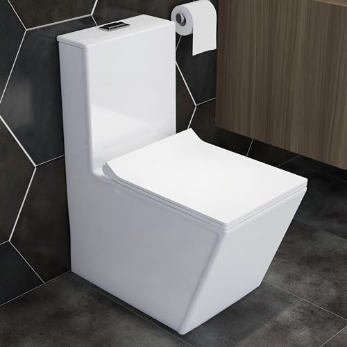 Plantex Platinium Ceramic Water Closet/One Piece Western Toilet/Commode ...