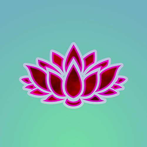 Lotus Vibes by Quinoae on Amazon Music - Amazon.com