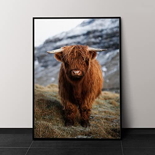 Amazon.com: Highland cow picture, canvas print, southwestern wall decor ...