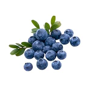 Pluckk Fresh Ooty Blueberry, 125g : Amazon.in: Grocery & Gourmet Foods