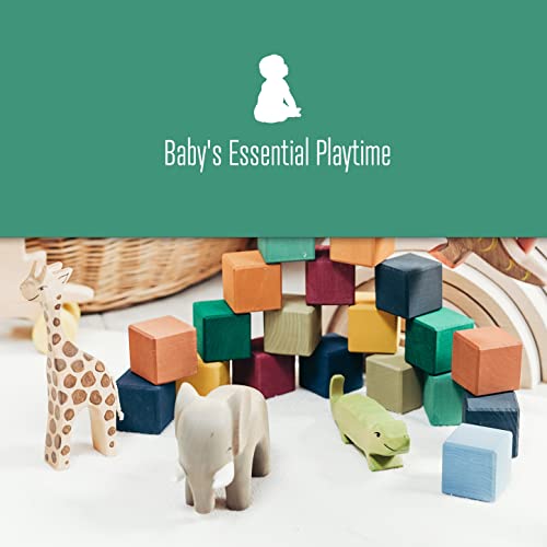Amazon Music - Essential BandのBaby's Essential Playtime - Amazon.co.jp