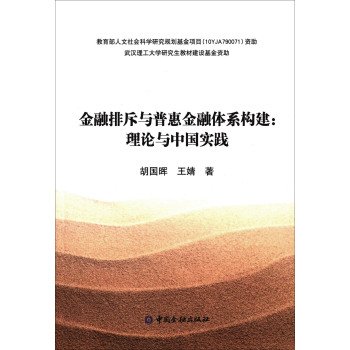 Amazon.com: Financial Exclusion and Inclusive Financial System: Theory ...