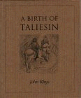 A Birth of Taliesin: 9781902418018: Books - Amazon.ca